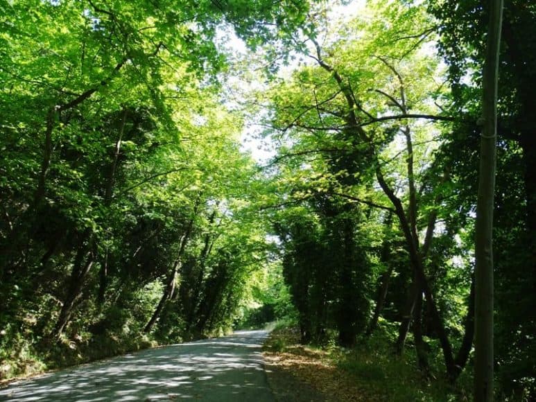La région du Pélion,Grèce:les villages de Tsagarada, Mouresi, Kissos ...