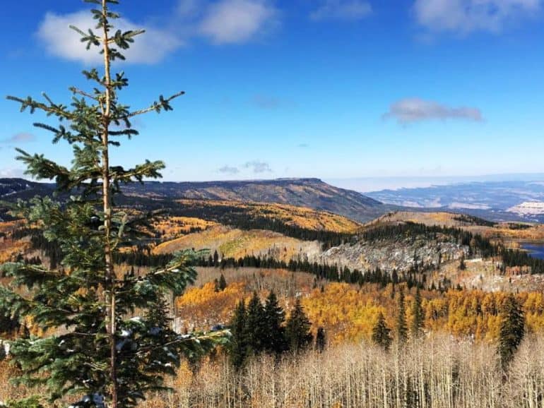 8 Best Free Things to Do in Denver, Colorado You Don't Want to Miss