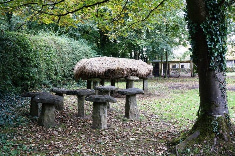 6 Things To Do in Shannon (Ireland)