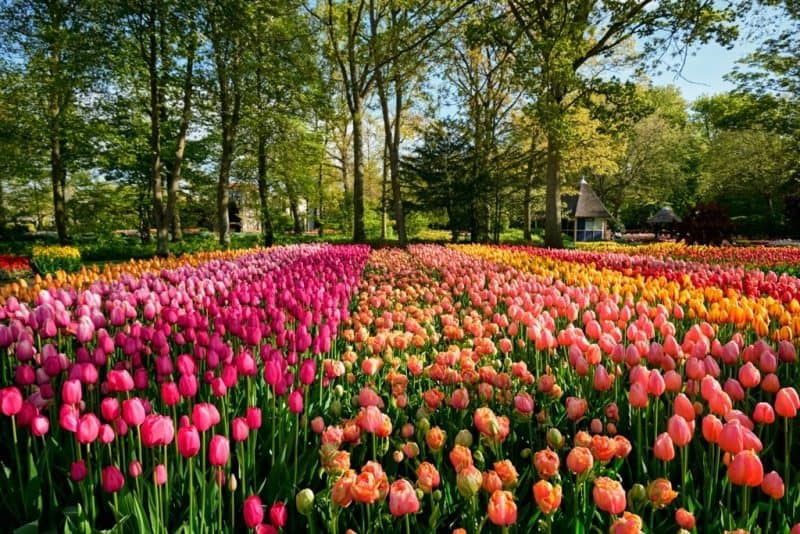 Most beautiful villages in the Netherlands - travelpassionate.com