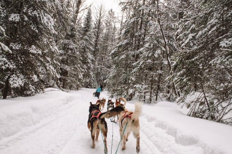Best Places To Visit in Ontario in Winter (Top Winter Destinations ...
