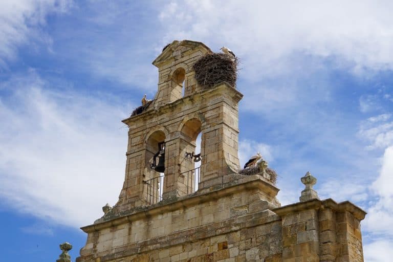 Top Things To Do in Zamora, Spain - travelpassionate.com
