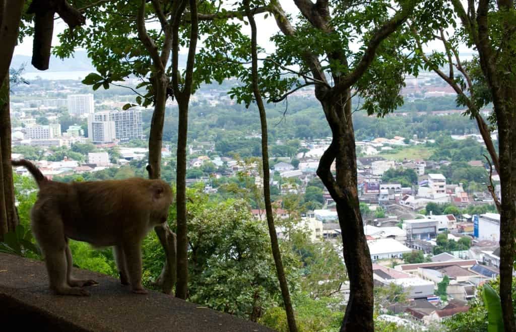 The 15 Best Places to visit in Phuket, Thailand - Travel Passionate