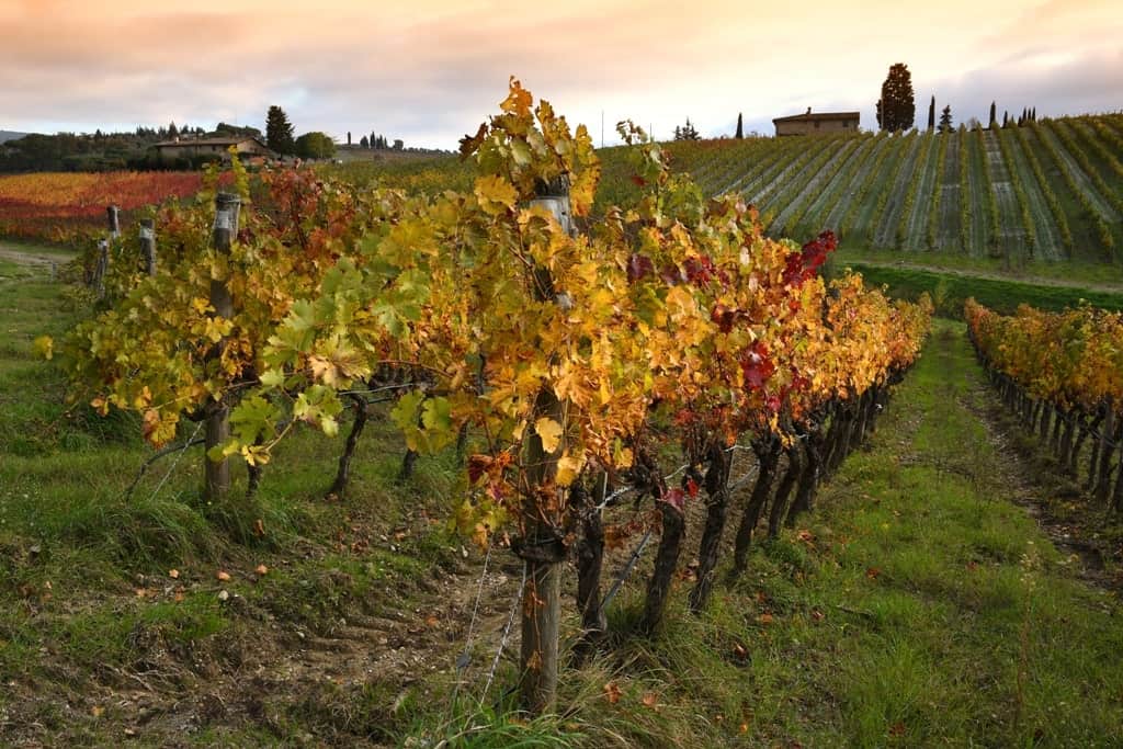 Florence in Winter Guide: November through February - Travel Passionate