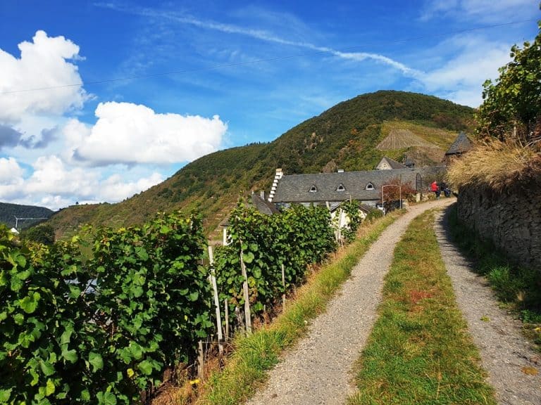 Guide to Beilstein in Germany - Travel Passionate