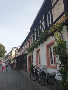 Ultimate Guide to Rüdesheim am Rhein in Germany