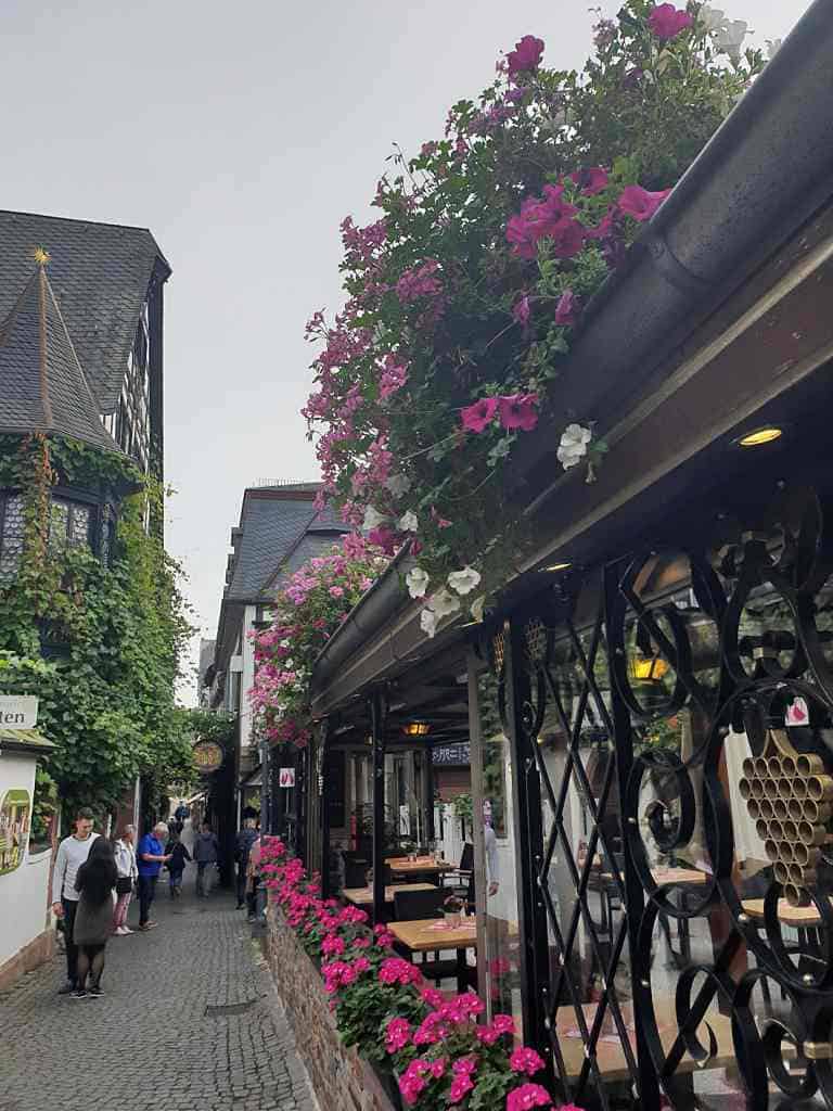 Ultimate Guide to Rüdesheim am Rhein in Germany