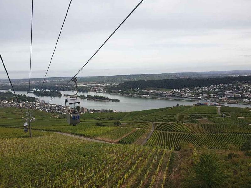 Ultimate Guide to Rüdesheim am Rhein in Germany