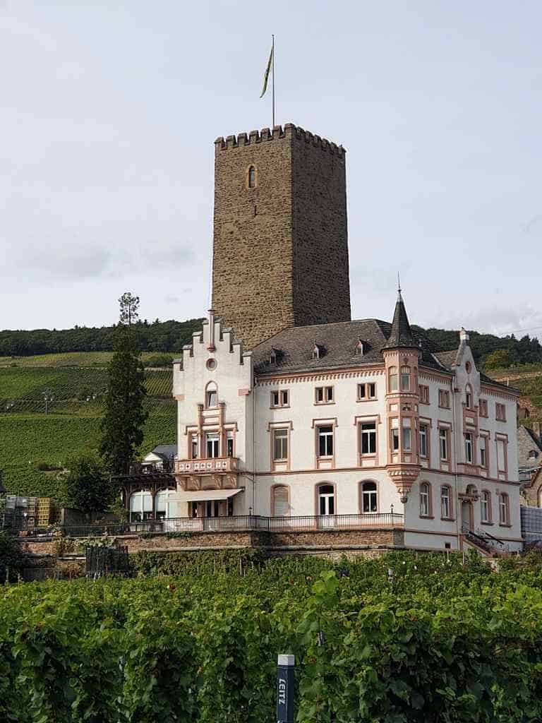Ultimate Guide to Rüdesheim am Rhein in Germany