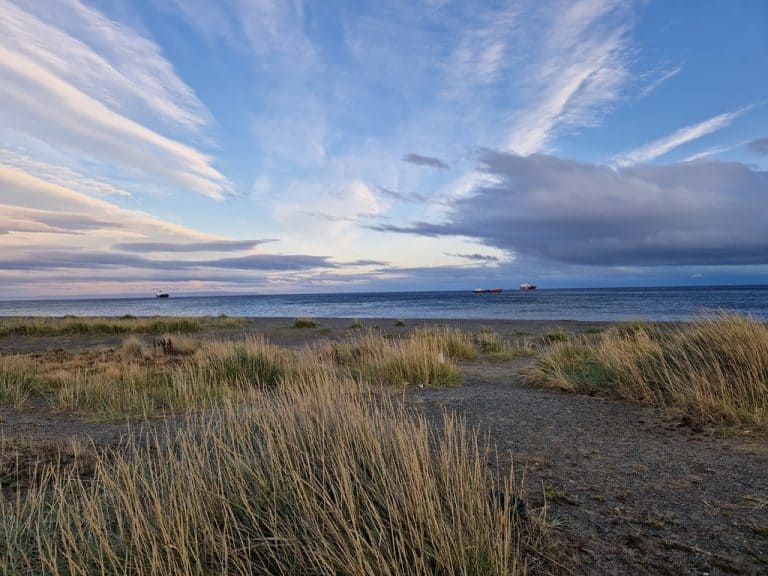 Best Things to Do in Punta Arenas, Chile - Complete Guide